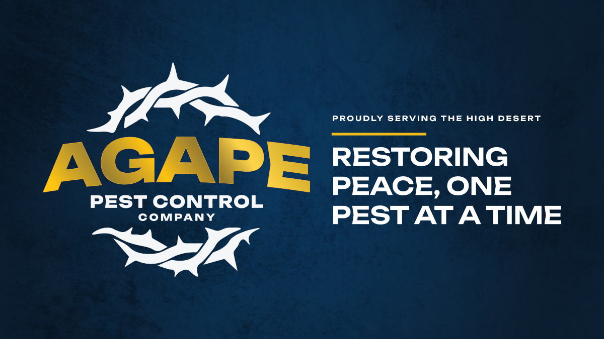Common Pest | Agape Pest Control Company